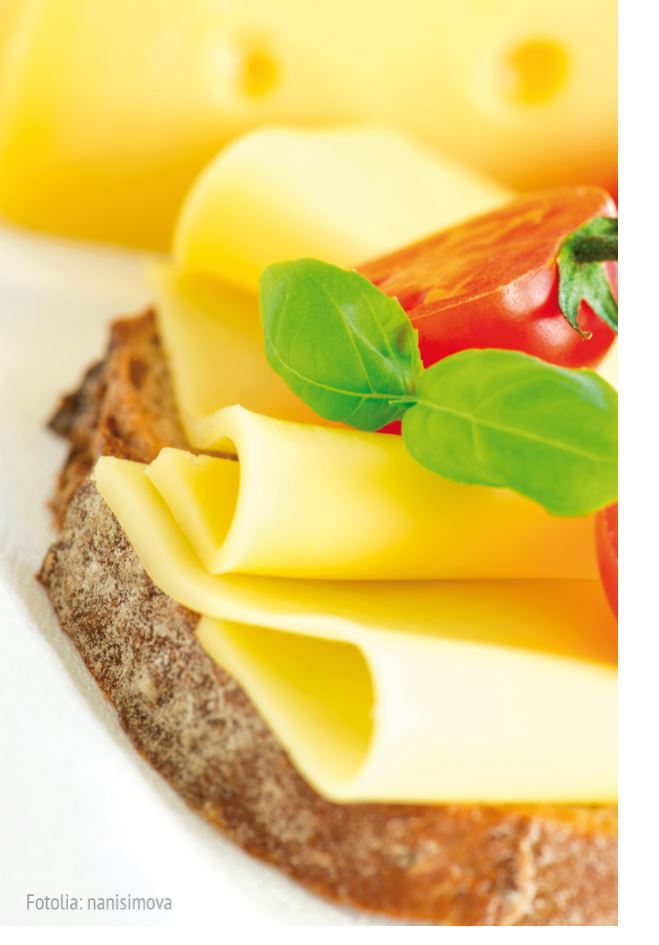 Gouda 48% Scheiben 10x10 30g 1kg gestapelt | 46802 - Backring Nord